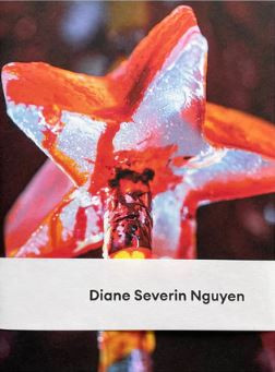 Nguyen - Diane Severin Nguyen ; expo Maison européenne de la ...
